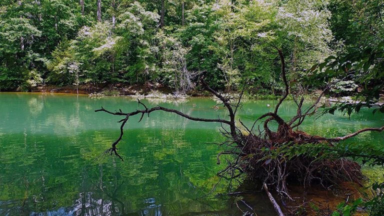 The 12 Prettiest Places in Alabama to Visit