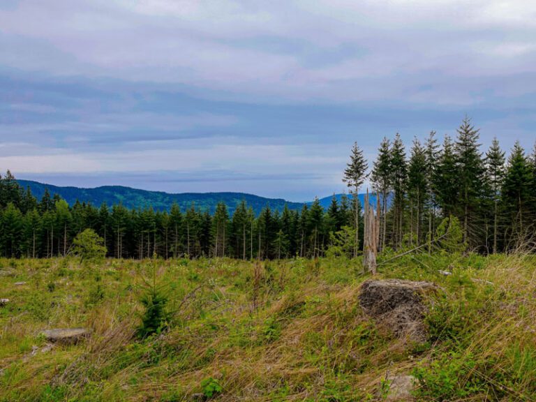 12 Absolutely Dreamy Places to Live in Washington State
