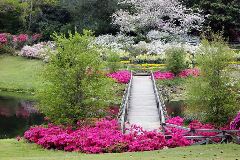 The 12 Prettiest Places in Alabama to Visit