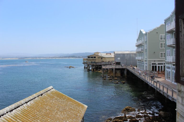 12 Livable Cities in Bay Area You Need to Know About