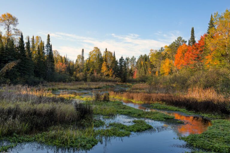 The 12 Dreamiest Places to Call Home in Wisconsin For Expats & Digital ...
