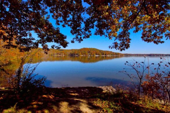 12 Livable Destinations in Indiana So Beautiful, They Feel Like a ...