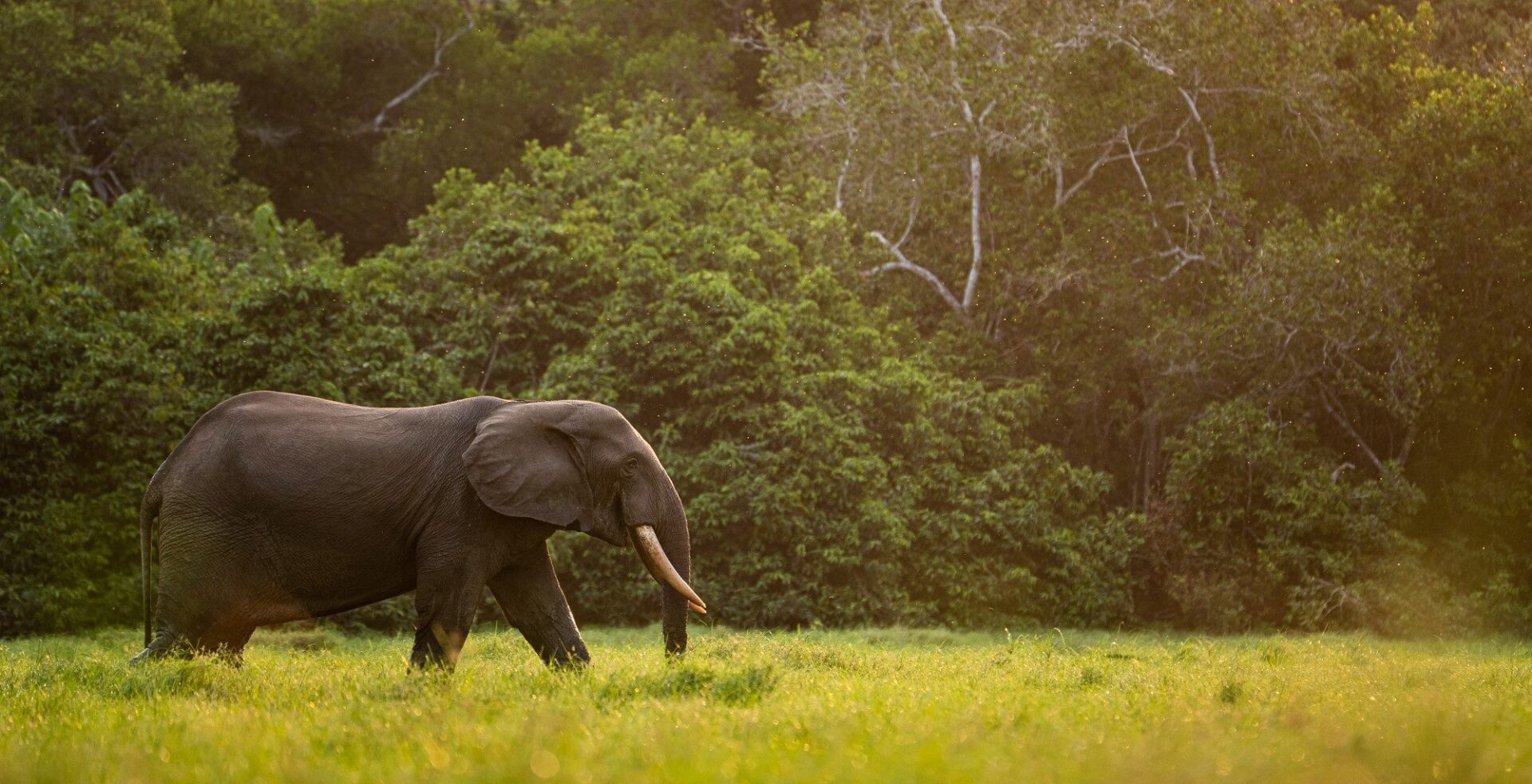 12 Stunning Places to Visit in Central African Republic in 2025