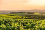12 Amazingly Beautiful Places in Champagne (Wine Region of France) That ...