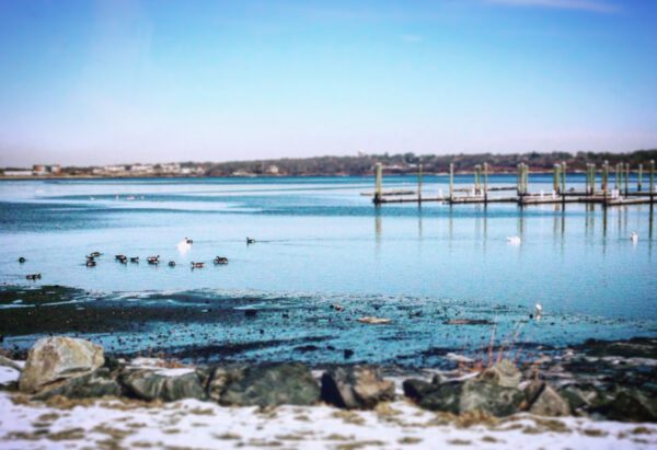 12 BEST Places to Live in Rhode Island for the Ultimate Lifestyle