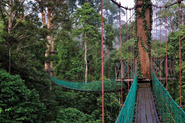 12 Must-See Destinations in Borneo in 2025