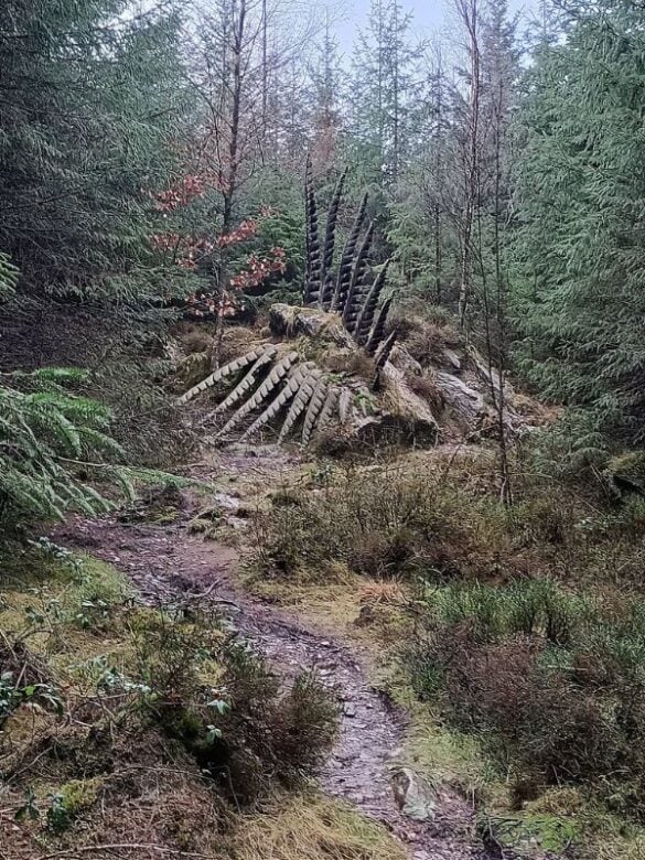If You Haven’t Been to These 12 Lake District Places, You’re Missing Out