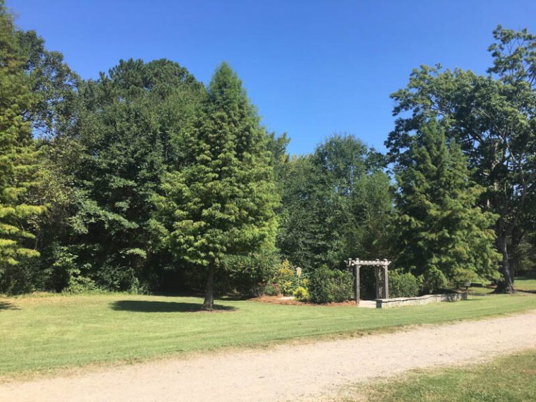 12 Awesome Places to Live in Alabama in 2026 For Travel Lovers