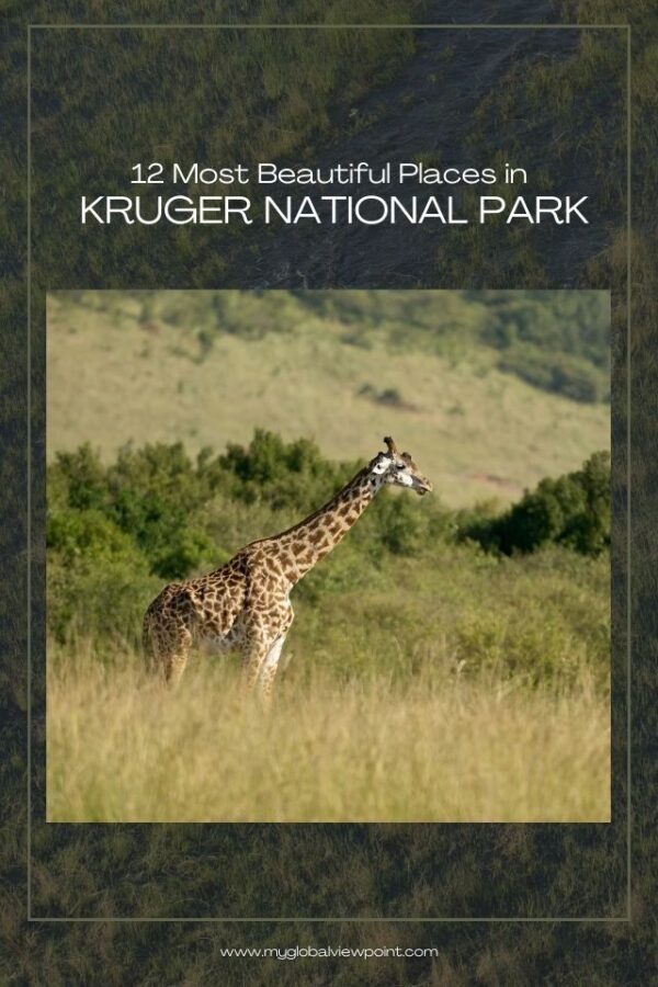12 Epic and Beautiful Spots to See in Kruger National Park