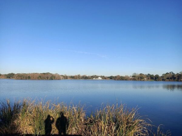 The Ultimate Baton Rouge Guide: 12 Things to Do & Places to Go For ...