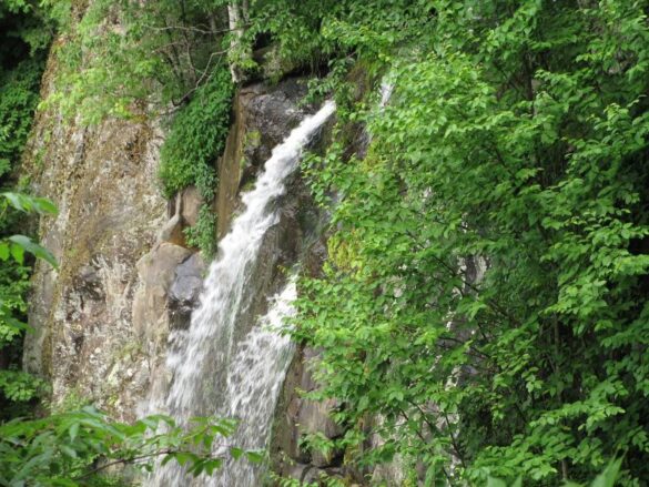 11 Bucket List-Worthy Places in Shenandoah National Park - Global Viewpoint