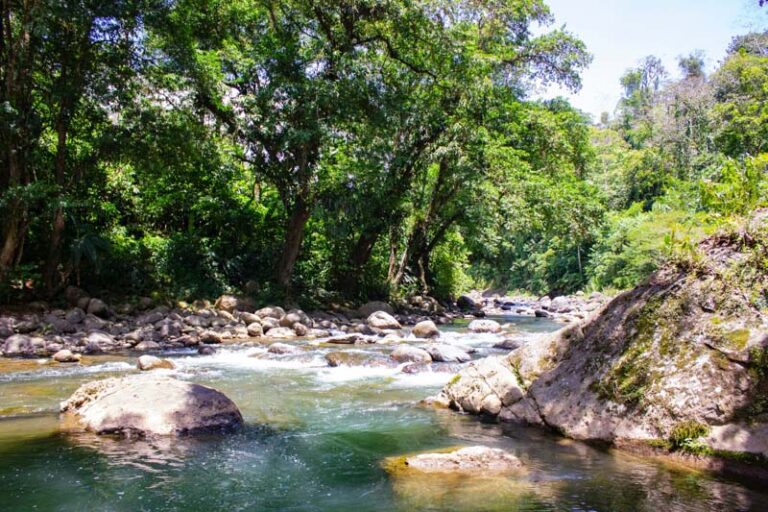 12 Perfect Locations in Costa Rica for Digital Nomads and Remote ...