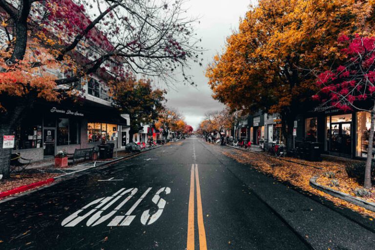 12 Livable Cities in Bay Area You Need to Know About