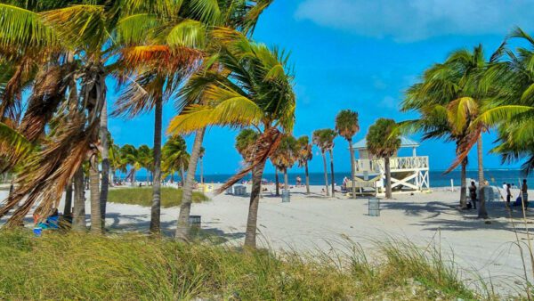 Miami’s 12 Best Attractions & Experiences for Teens