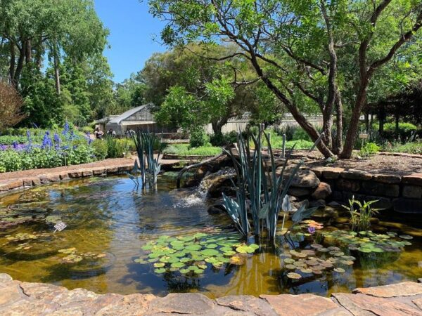 12 Absolutely Breathtaking Places to Visit in Houston - Global Viewpoint