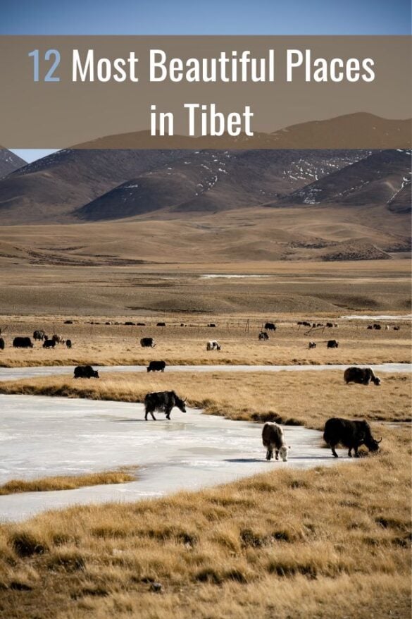These are 12 Incredibly Magical Places in Tibet for Nature Lovers ...