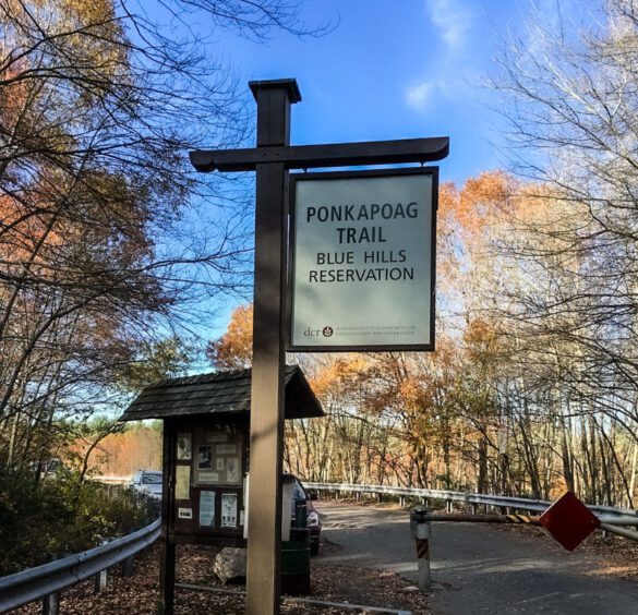 12 Can’t-Miss Things to Do With Teens in Boston (From Locals’ Favorites ...