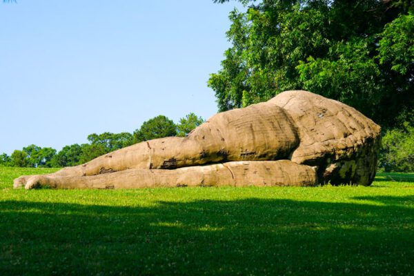12 EPIC Things to Do in Raleigh at Night (Hidden Southern Gems!)