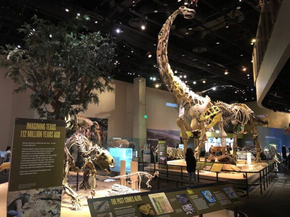 Guide to Dallas with Teens: Six Flags, Deep Ellum & BBQs
