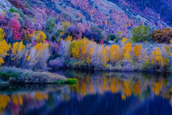 The 12 Best Places to Live in Utah for an Incredible Lifestyle - Global ...
