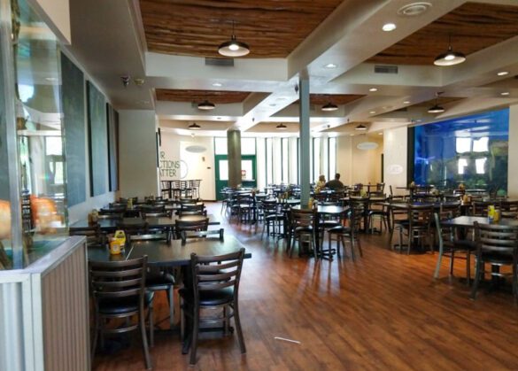 12 Must-Try Trendy Restaurants in Albuquerque That Will Blow Your Mind