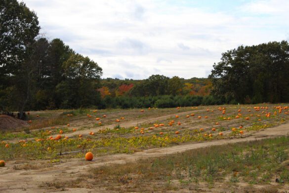 12 BEST Places to Live in Rhode Island for the Ultimate Lifestyle