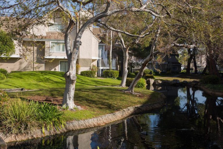 12 Livable Cities in Bay Area You Need to Know About