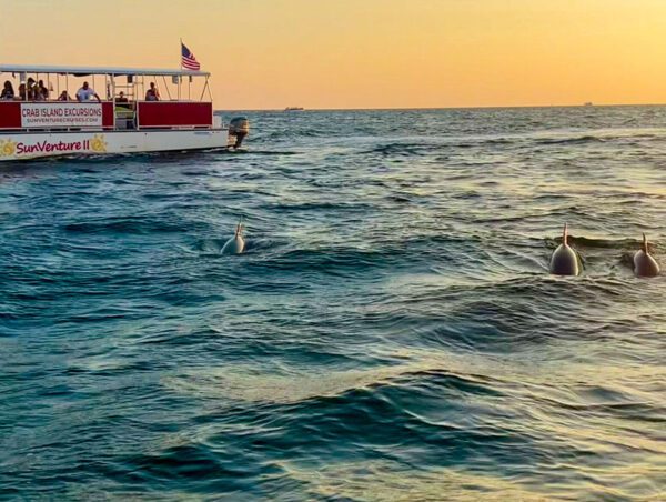 15 MAGICAL Things to Do in Destin After the Sun Sets