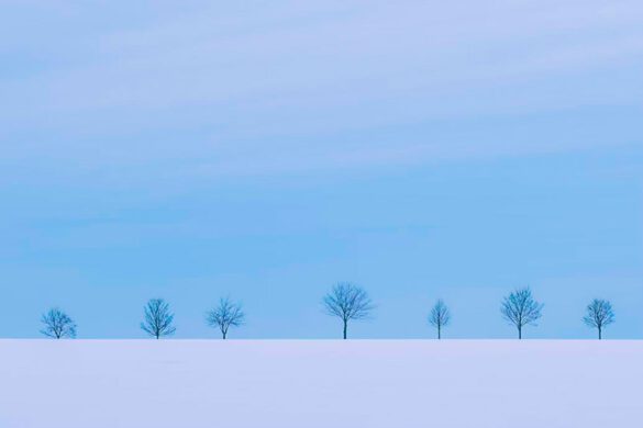 12 Enchanting Places in Saxony That Look Straight Out of a Postcard ...