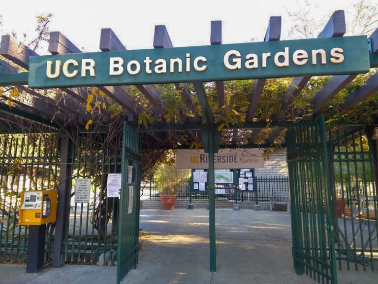 12 Epic Riverside, CA Adventures at Night for Your Bucket List