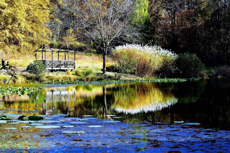 12 Scenic Places in Virginia That Are Perfect for Settling Down ...