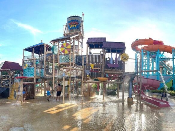 13 Picture-Perfect Amusement Parks in the Southeast US That Will Blow ...