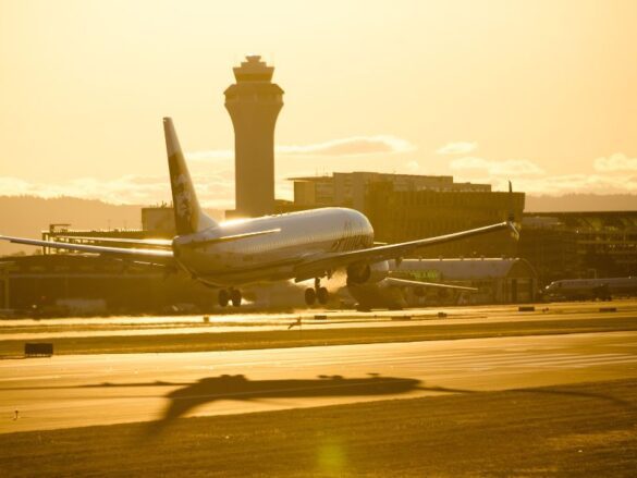 10 Best Airlines to Fly to Cabo for an Incredible Getaway in 2025 ...