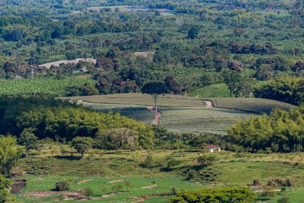 12 Dreamy Places to Live in Colombia For Expats & Digital Nomads ...