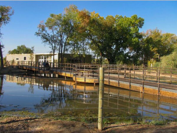 12 AMAZING Things to Do in Albuquerque at Night (Don't Skip #4!)