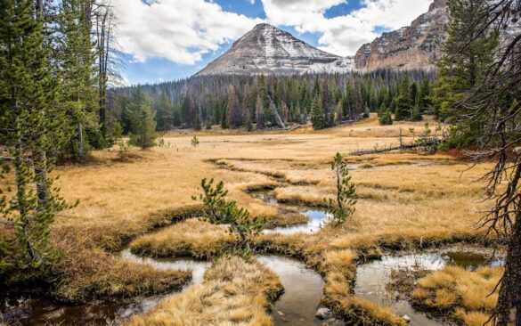 12 Stunning Places to Visit in the Uinta Mountains in 2026 - Global ...