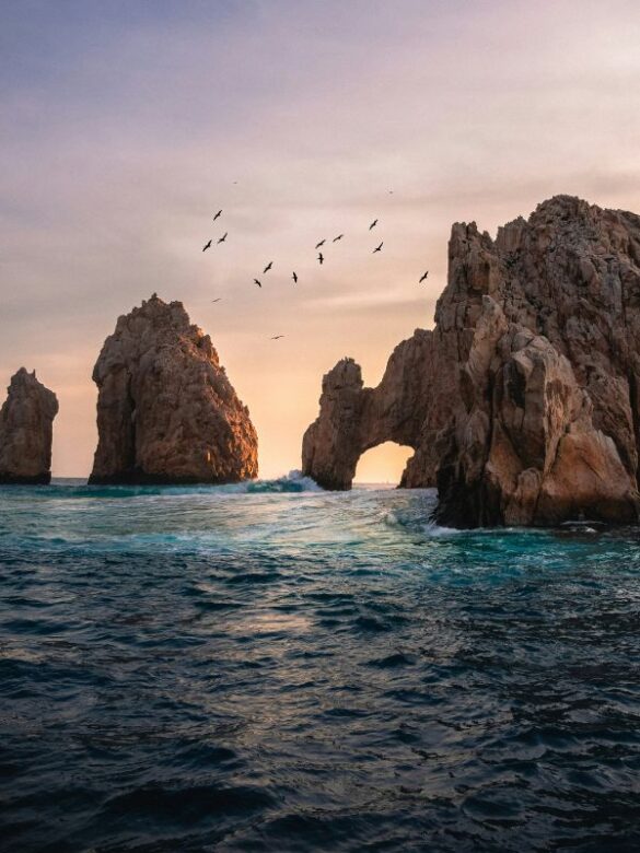 10 Best Airlines to Fly to Cabo for an Incredible Getaway in 2025 ...