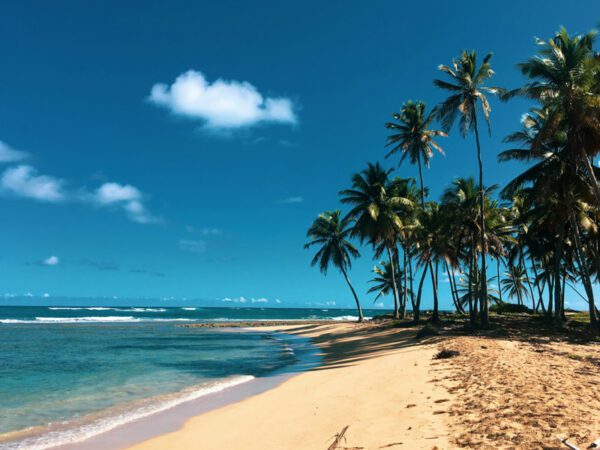 12 Scenic Places in the Dominican Republic That Are Perfect for ...