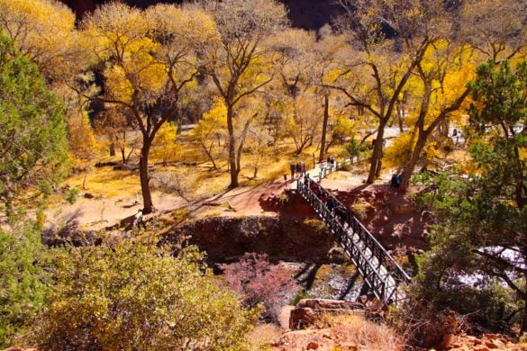 13 Amazingly Beautiful Spots in Zion National Park - Global Viewpoint