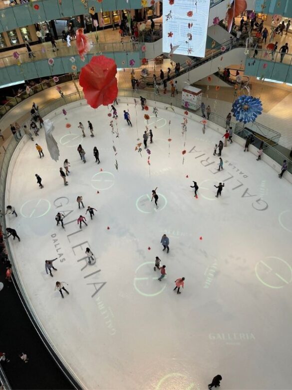 13 Iconic Dallas Attractions & Activities for Young Adults to Add to ...