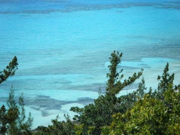 12 Amazing Hidden Gems in Bermuda Only Locals Know About