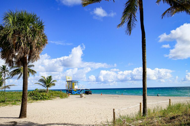 12 Epic Locations to Live in Broward County for Starting a New Life