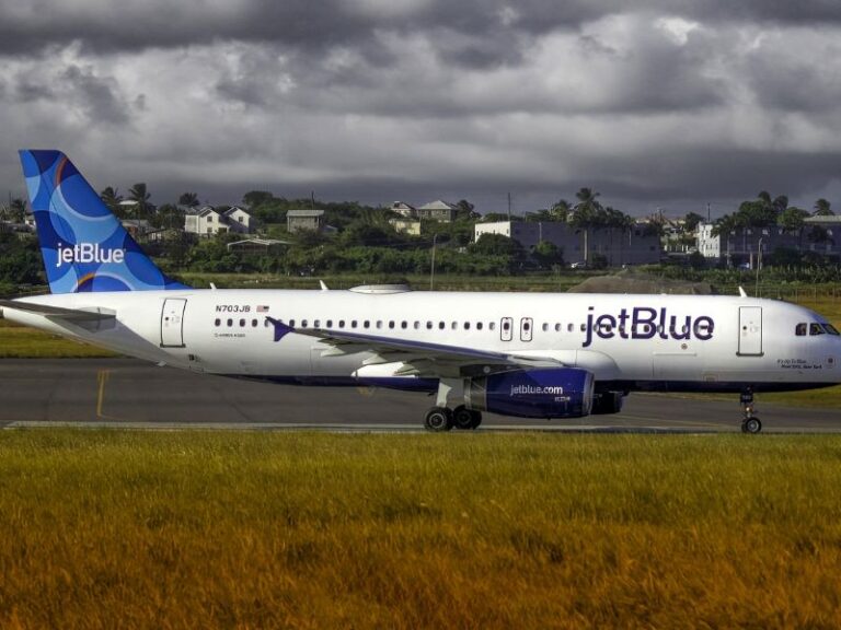 These Are the 10 Best Airlines to Fly to Florida in 2026 - Global Viewpoint
