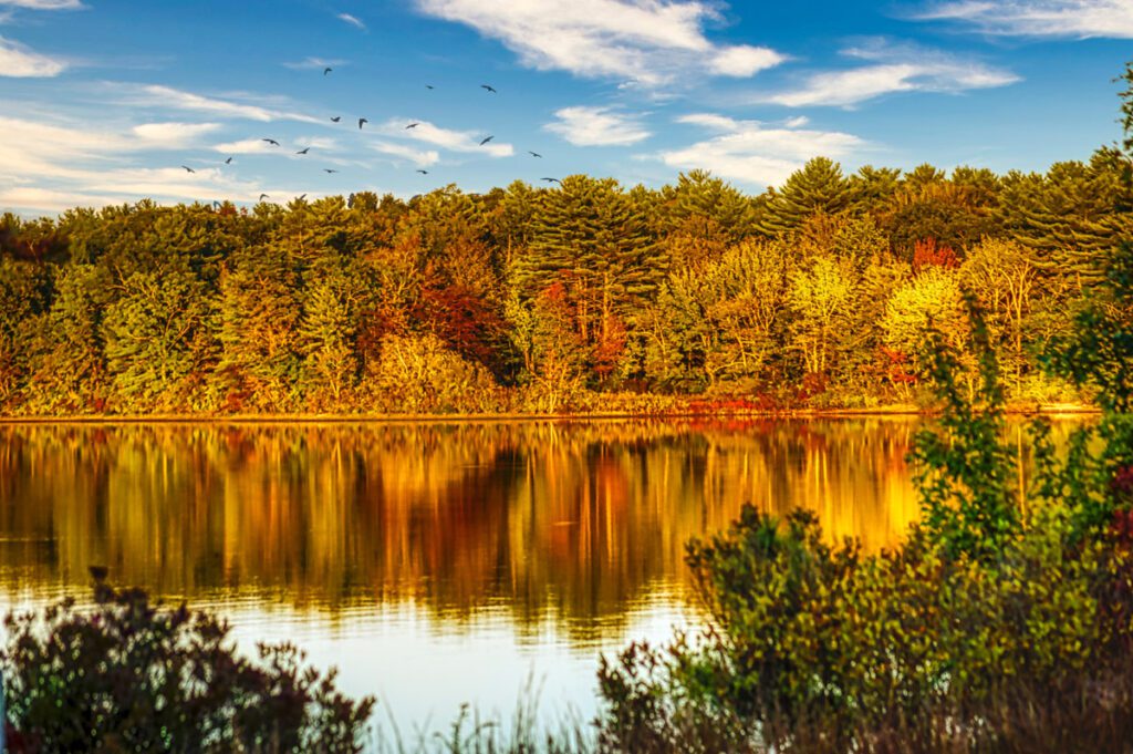 12 Amazingly Beautiful Places in Massachusetts That Feel Unreal