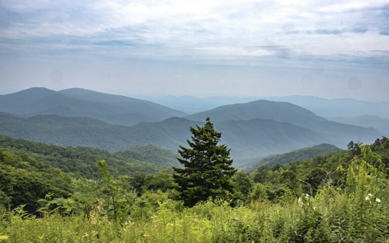 12 Scenic Spots in the Blue Ridge Mountains You Need to See - Global ...
