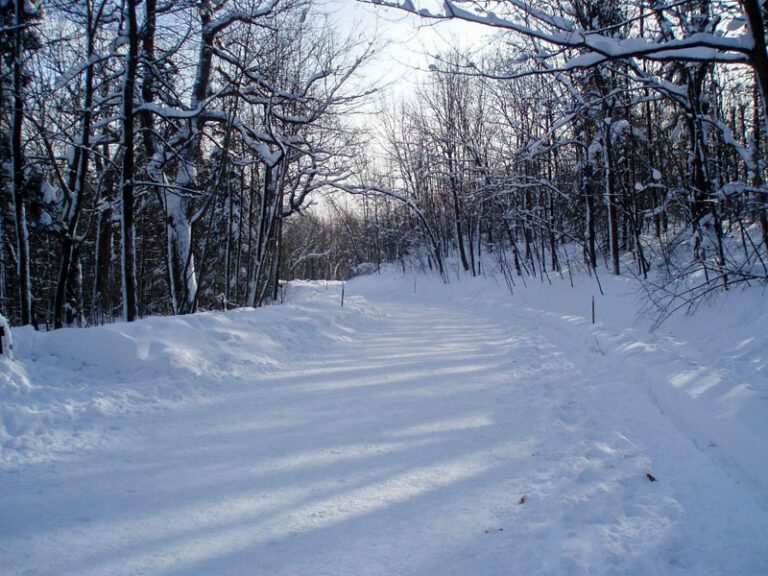 The Ultimate Montreal Guide: 12 Things to Do & Places to Go in Winter