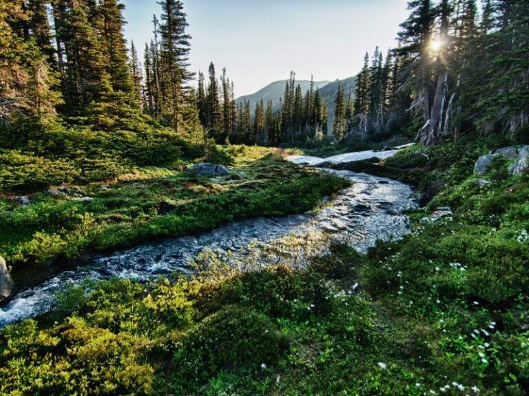 15 BEST Affordable Vacation Destinations in the US (Updated 2026 ...