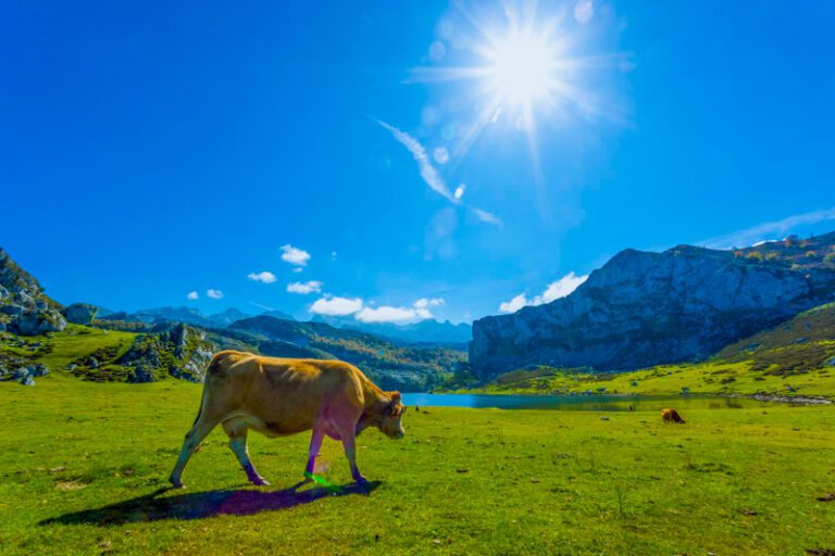 12 Absolutely Stunning Places to Visit in Spain - Global Viewpoint