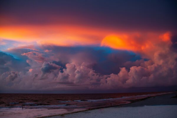12 Epic Locations to Live in Broward County for Starting a New Life