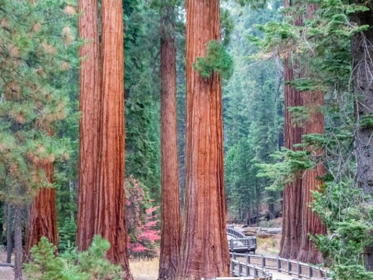 15 BEST Affordable Vacation Destinations in the US (Updated 2026 ...